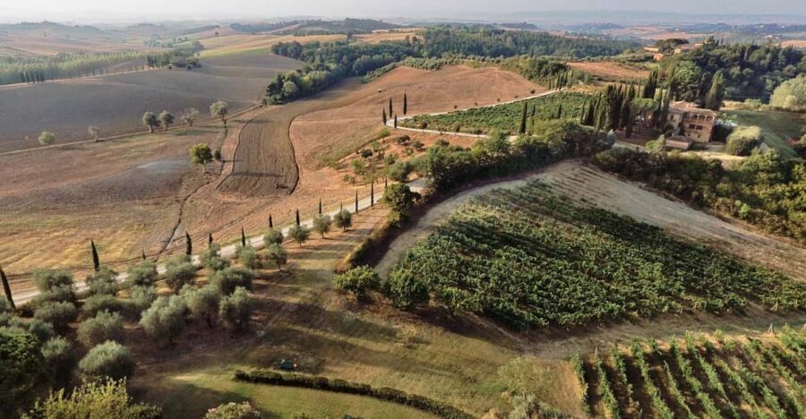 Siena: Winery tour/tasting with owner/maker of awarded wines - The Experience in Context