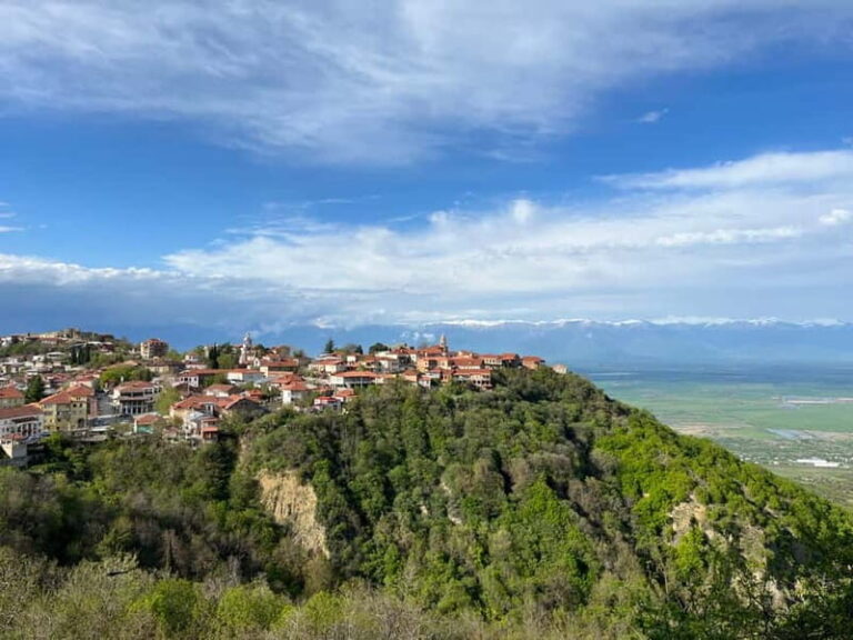 Sighnaghi Day Trip with wine tasting and Bodbe Monastery - Who Will Love This Tour?