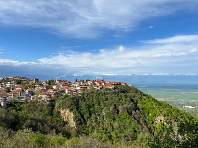 Sighnaghi Day Trip with wine tasting and Bodbe Monastery - Who Will Love This Tour?