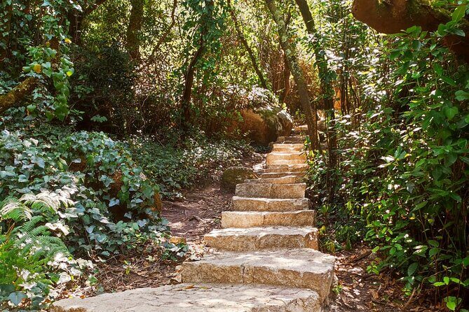 Sintra Private Hiking Adventure Tour - What Reviewers Say