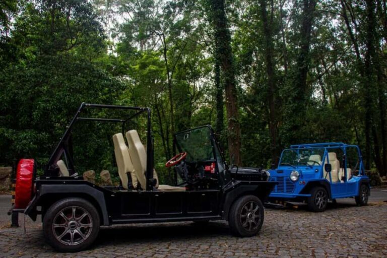 Sintra: Vintage electric Tuk Tuk tour, Pena Palace 4/5 hours - Detailed Tour Breakdown