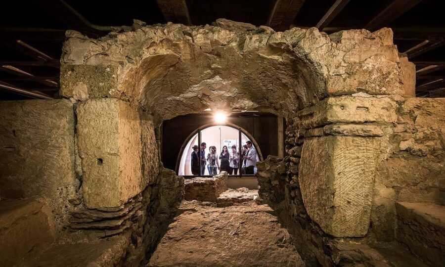 Sion: Sion Wine Tour - wine tasting and guided tour - The Wine Tasting Experience: A Highlight for Connoisseurs and Casual Sippers