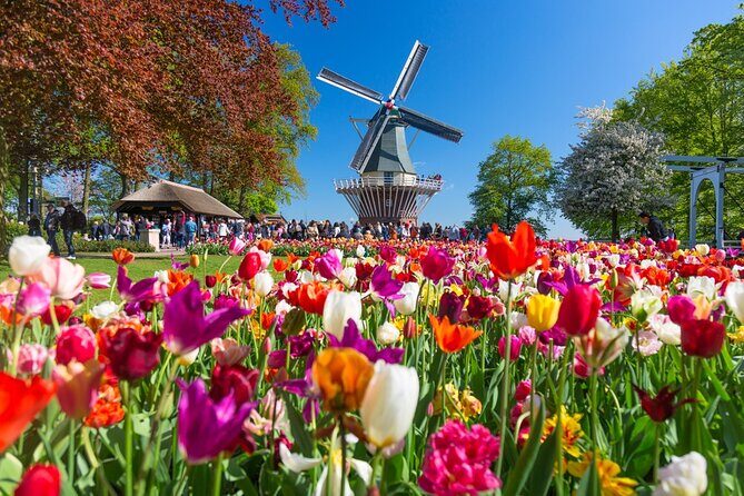 Skip-the-Line Keukenhof Gardens and Tulip Fields Tour from Amsterdam - Who Should Consider This Tour?