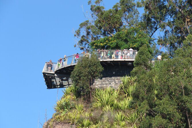 Skywalk, Vineyards, Landscapes and 4x4 Experience in Madeira - The Value of the Tour