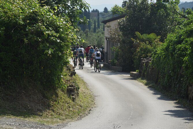 Slovenian coast Koper, Izola, Piran - Parenzana electric biking tour from Koper - Portorož and Local Tastings