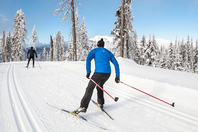 Small-Group Lapland Cross Country Ski - What Travelers Say: Insights from Reviews