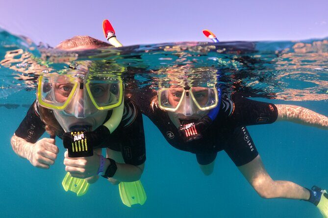 Small Group Snorkeling in Abades Bay with Licensed Guide - The Sum Up