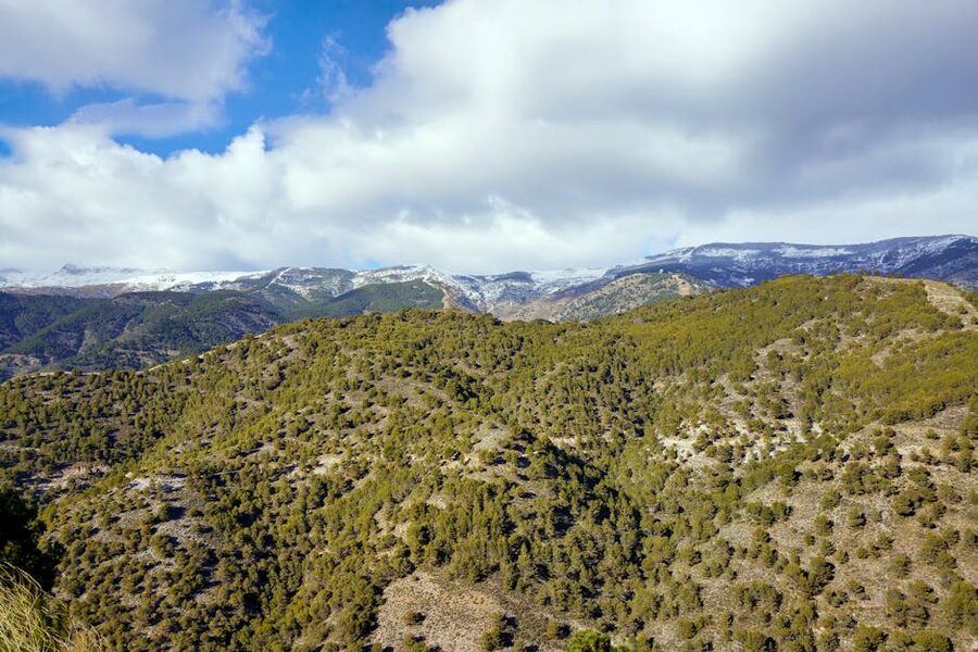 Panoramic view of Sierra Nevada mountain range with forests and snowy peaks in Spain