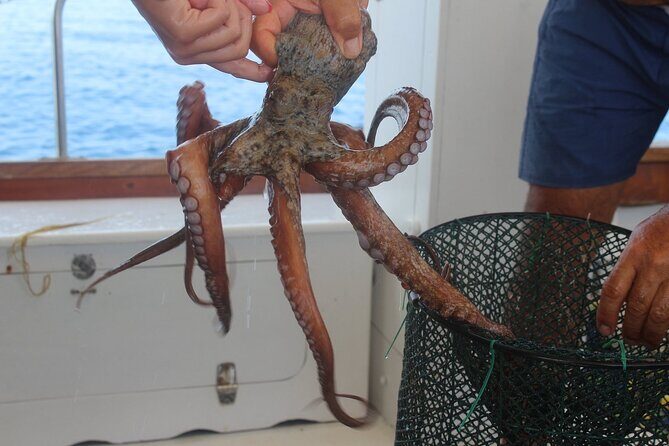 Snorkeling and Diving in the Gulf of Tavolara with Fishing - Who Should Book This Tour?