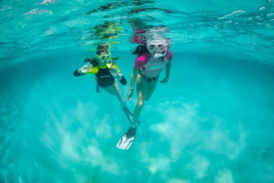 Snorkeling Trips in Amorgos - Pricing & Value