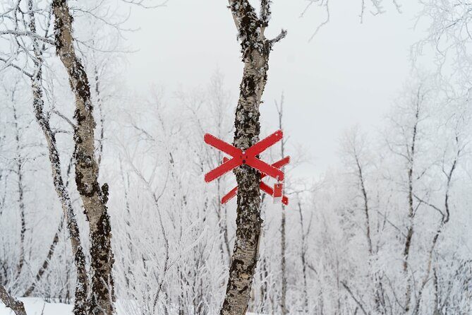 Snowmobile Tour in Kiruna - Final Thoughts: Is This Tour Right for You?