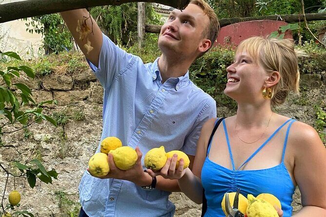 Sorrento: Authentic Lemon Experience at a Farm with Tastings - Who Will Love This Tour?