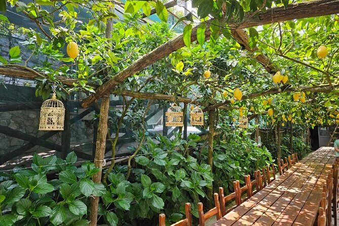 Sorrento: Gastronomic Tour by E-Bike and Visit to Acetaia - What to Expect