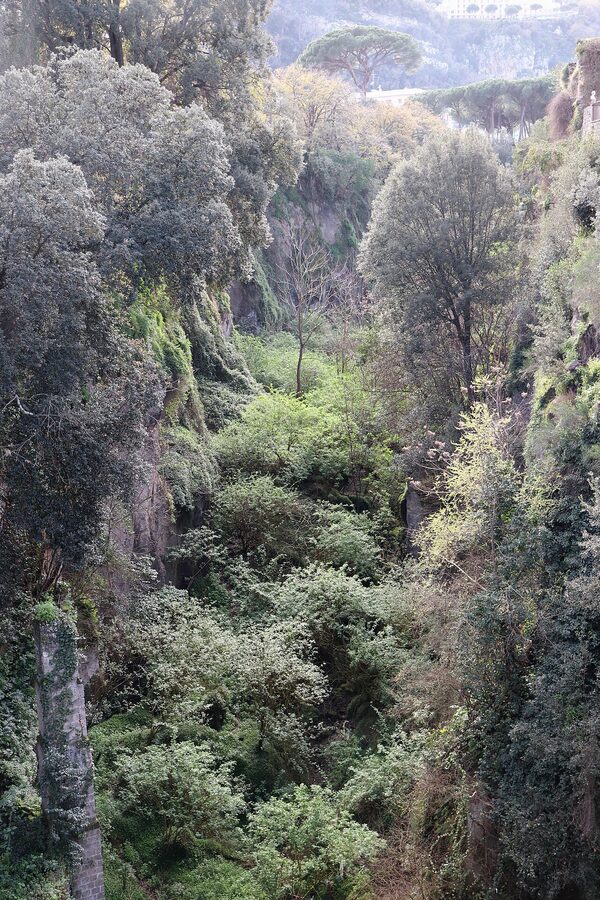 The Vallone dei Mulini gorge in Sorrento with abandoned mill buildings and overgrowth