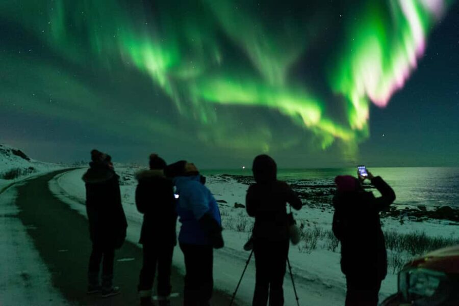 Sortland: Small Group Northern Lights Chase by Car - Who Would Love This Tour?