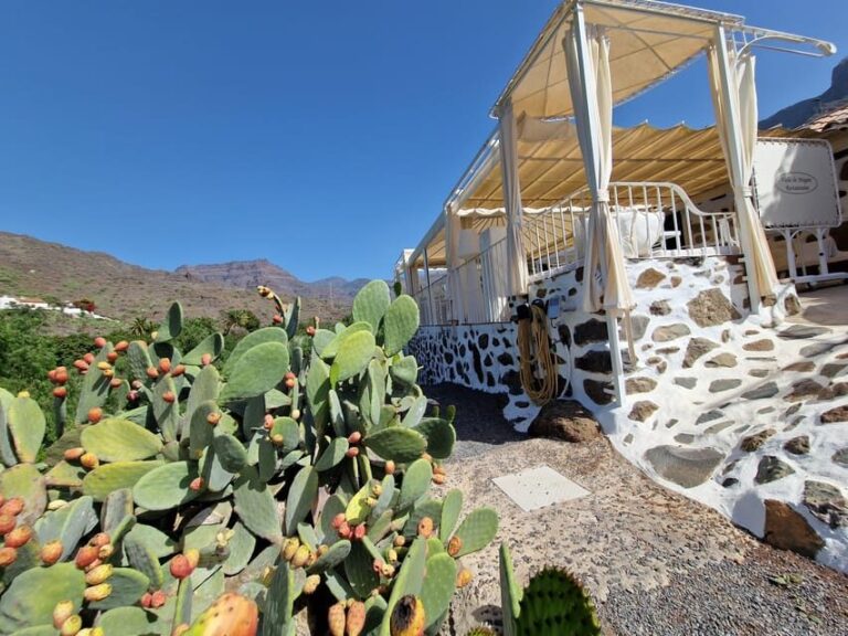 Spanish Cured Meats & Wine Tasting Tour in Mogan - Analyzing the Value: Is It Worth It?