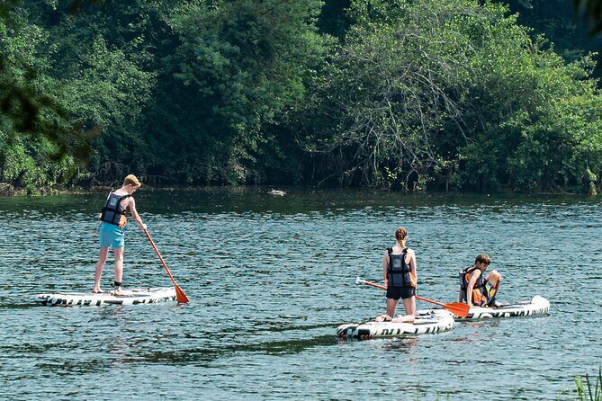 Stand Up Paddle Tour - The Experience: What Youll Likely Encounter