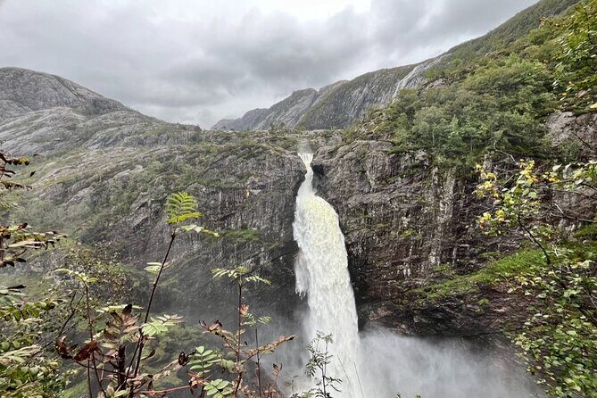 Stavanger Day Trip: Nature, Culture & Food - What Travelers Love About This Tour
