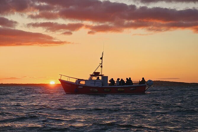 Sundown Cruise Around the Island of Ireland's Eye from Howth - The Experience: From Booking to Final Moments