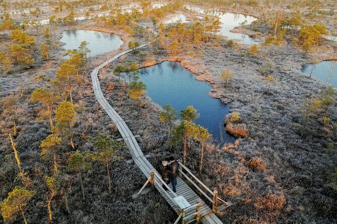 Sunrise at Kemeri National Park - Small Group - Who Will Enjoy This Tour Most?