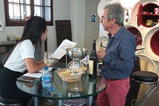 Swiss Vineyard Wine Tasting Tour in Vaud - Is it Worth the Price?