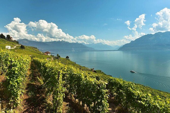 Swiss Wine Tasting at Lavaux Vineyards: Private Trip from Geneva - The Itinerary in Detail