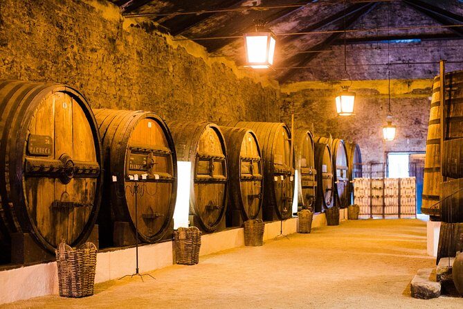 Taste the Douro - Vintage Experience - The Sum Up