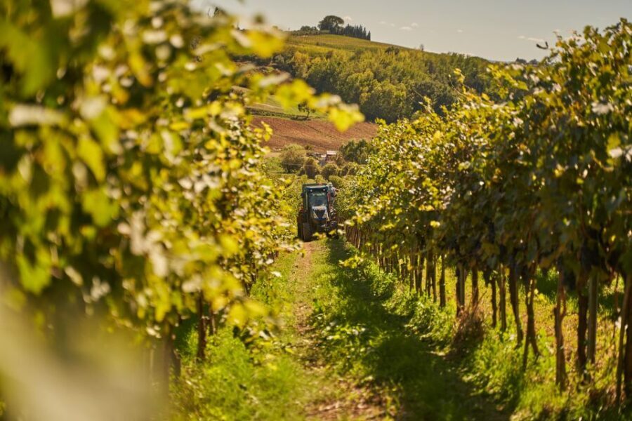 Tasting and Tour Vino Nobile di Montepulciano - A Closer Look at the Antico Colle Winery Tour