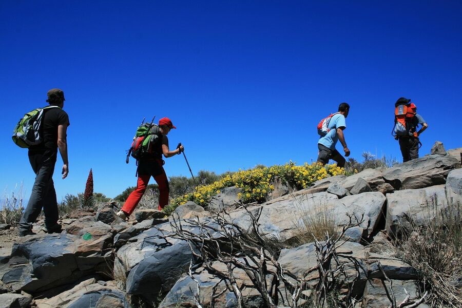 Hiking through lava field in Teide National Park