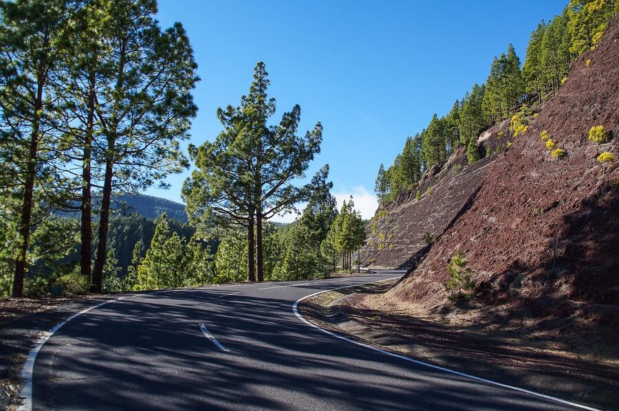 Forest road climbing through Teide National Park