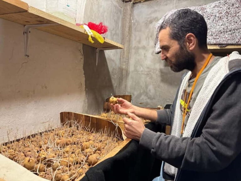 Tenerife: Canary History and Color Potatoes - A Closer Look at the Tenerife: Canary History and Color Potatoes Tour