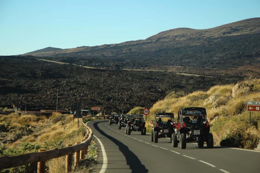 Tenerife: MORNING - 3H Buggy tour of Teide - Is It Worth the Price?