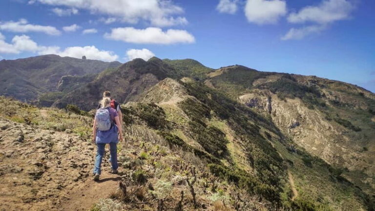 Tenerife: Panoramic Laurel Forest Guided Hike and local food - The Itinerary in Detail
