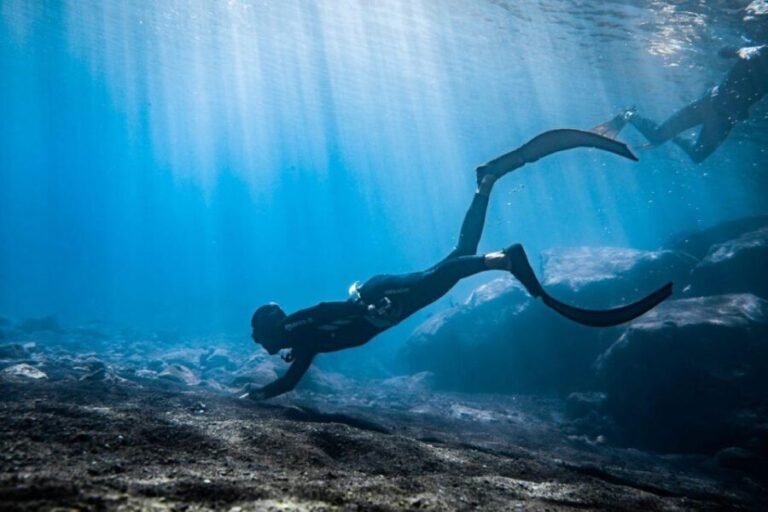 Tenerife : Snorkeling underwater with freediving Instructor - The Educational and Relaxation Components
