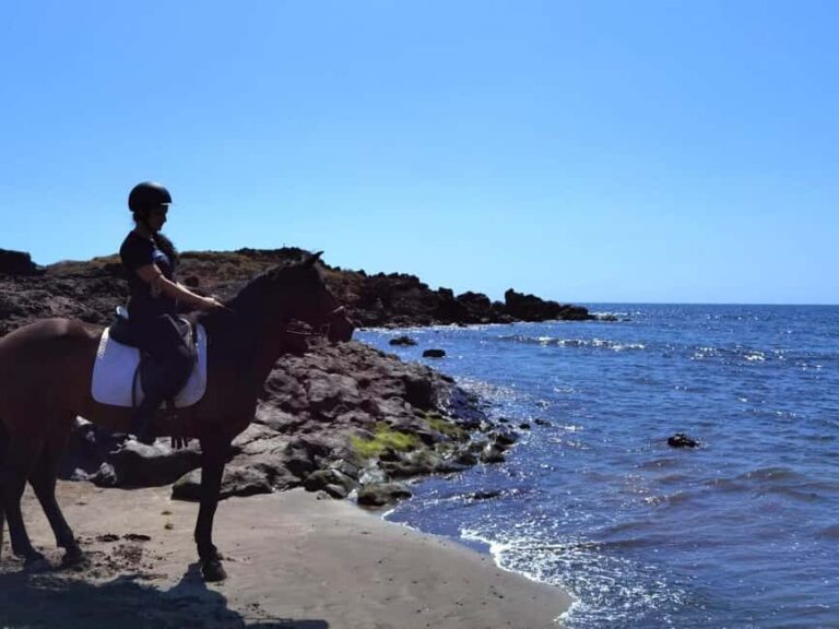 Tenerife South: Private Horseback Ride to the Coast - What’s Included and What’s Not