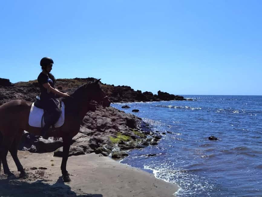 Tenerife South: Private Horseback Ride to the Coast - What’s Included and What’s Not