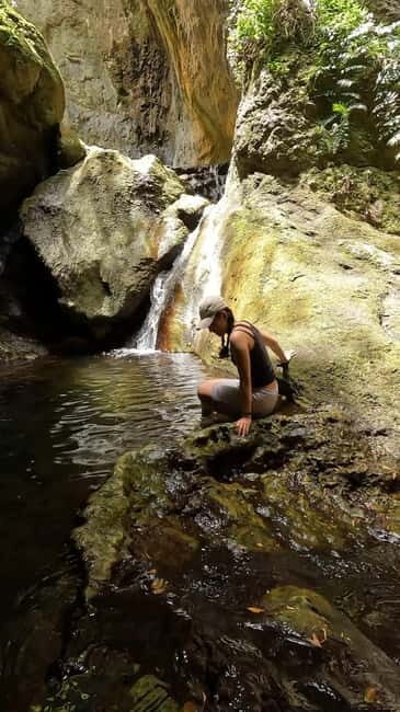 Teno Waterfalls Hiking Tour: Tropical Jungle Adventure - What We Think About the Experience