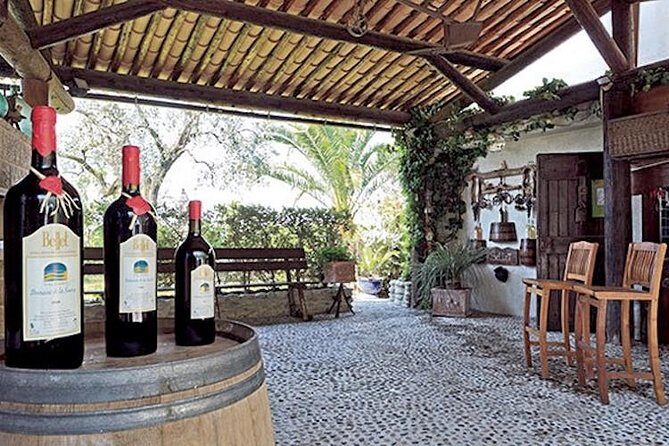 the Bellet wine tasting - The Experience: What You Can Expect