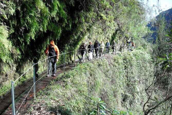 The King's Levada - Levada do Rei - Why This Tour Works for Different Travelers