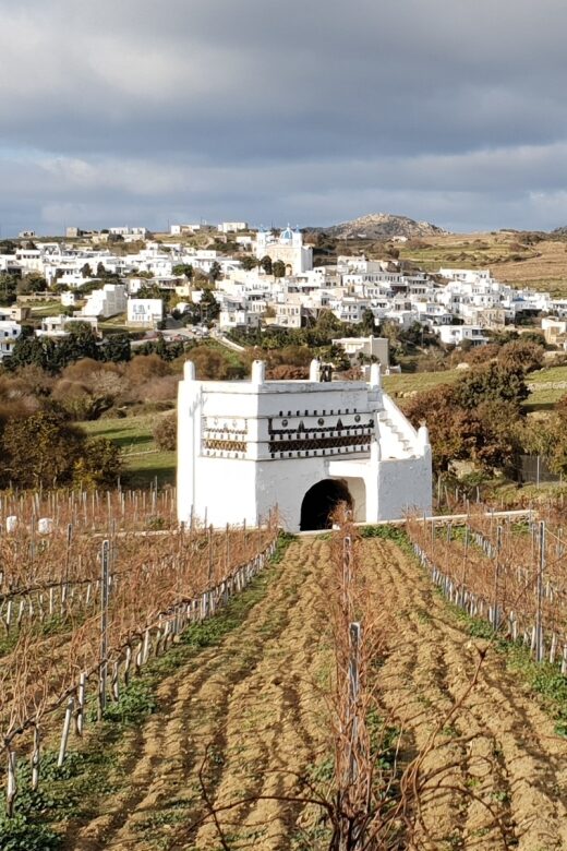 Tinos: Winery Tour and Wine Tasting Paired with Snacks - What to Expect from Your Tinos Winery Tour