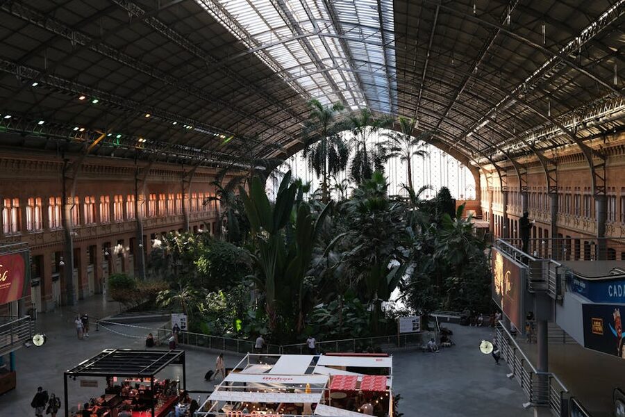 Inside Madrid Atocha station tropical greenhouse