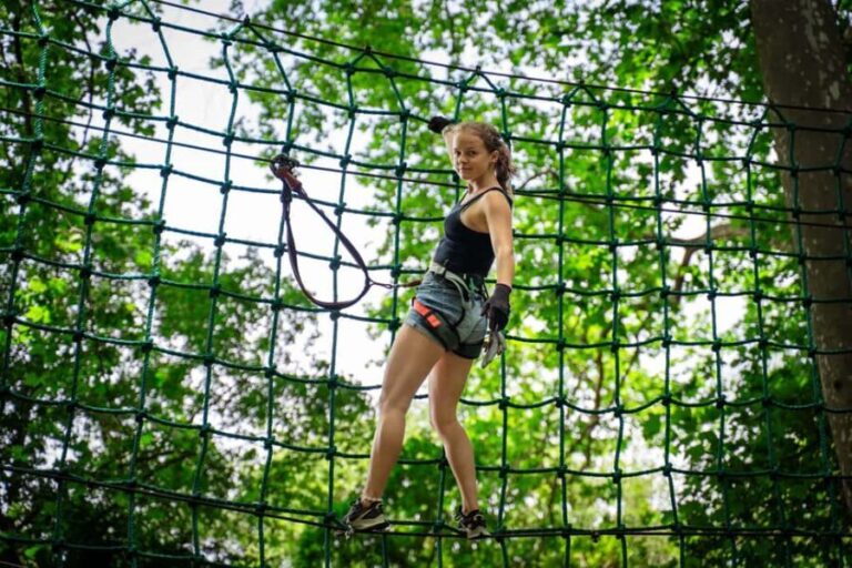 Toulon: Tree climbing course - An In-Depth Look at Toulon’s Tree Climbing Experience