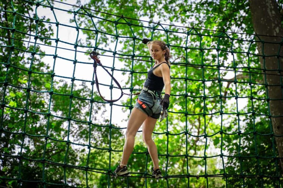 Toulon: Tree climbing course - An In-Depth Look at Toulon’s Tree Climbing Experience