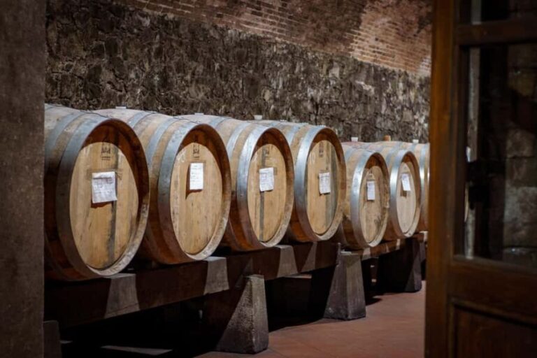 Tour and tasting at the Casalbosco estate - The Estate and Its Setting
