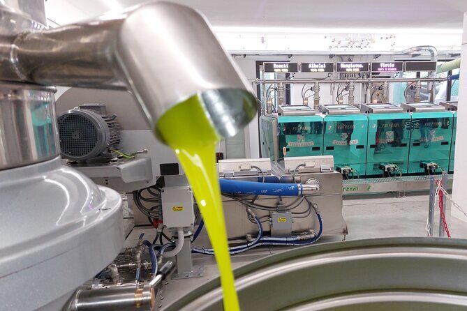 TOUR and TICKETS, VISIT TO THE MILL AND EVO OIL TASTING - The Itinerary in Detail