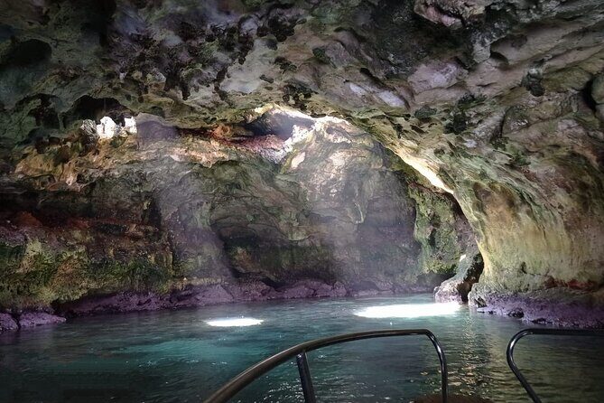 Tour by boat to discover the Polignano Caves - What Reviewers Say: Real Experiences
