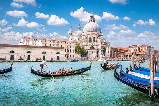 Transfer from Padova to Venice City Airport/Port or v.v. - Why Choose This Transfer? An In-Depth Look