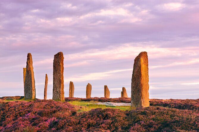 Treasures of Orkney: Private Half-Day Tour from Kirkwall - What to Expect in Terms of Logistics and Cost