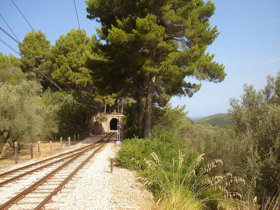 Tren de Soller vintage wooden train in Mallorca