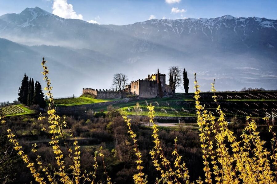 Trento: Balter Winery Guided Tour with Wine Tasting - The Sum Up